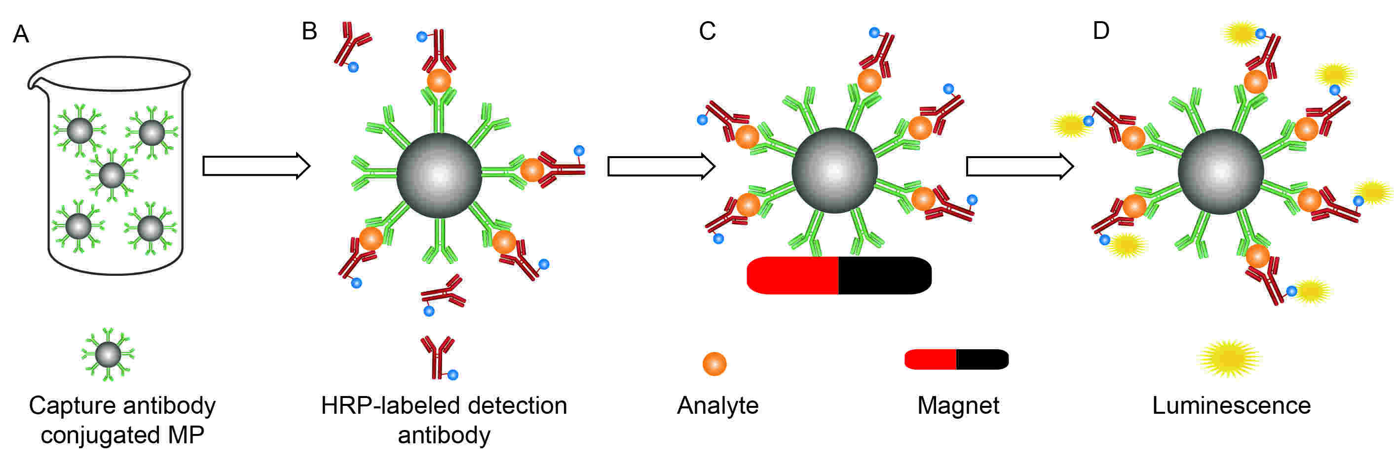 Critical Materials for Magnetic Particle Chemiluminescent Immunoassay ...