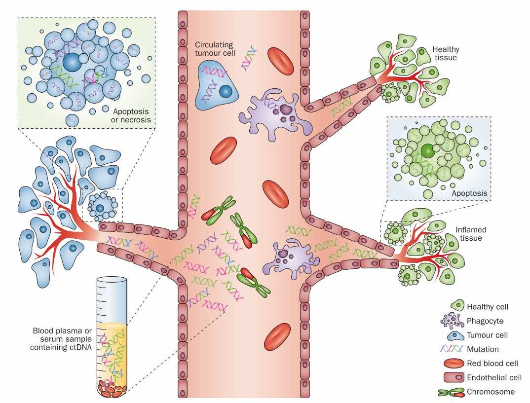 cfDNA Extraction Kit - Creative Diagnostics