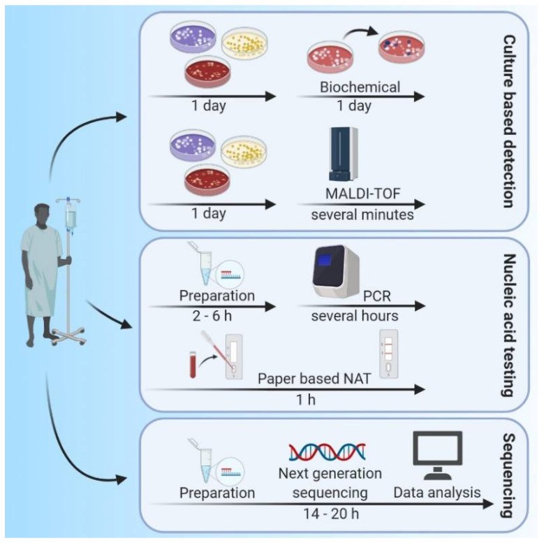 Infectious Diseases - Creative Diagnostics