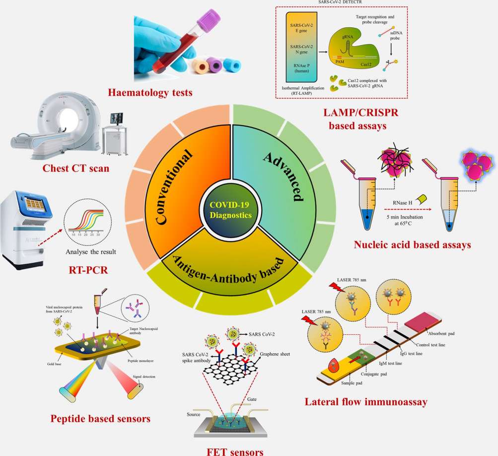 Molecular Diagnosis Reagents and Kits - Creative Diagnostics