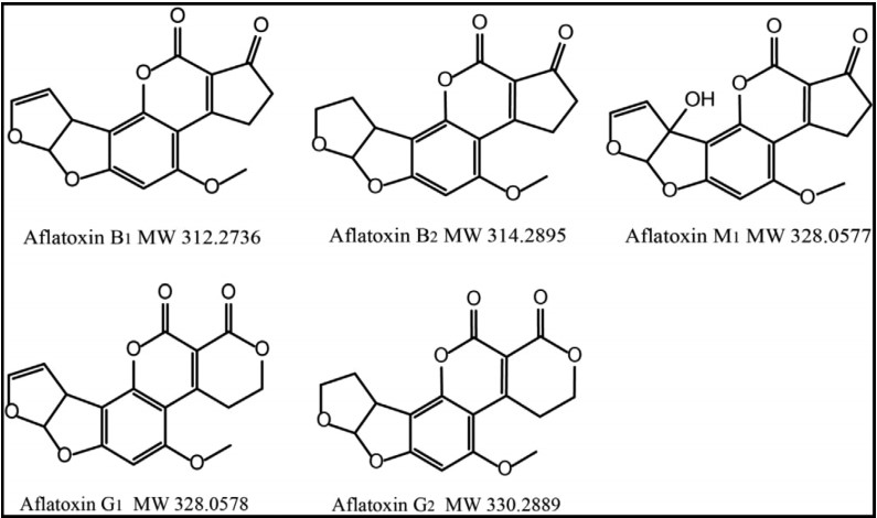 RHA™ anti-Aflatoxin monoclonal antibody, clone AFL (HMABPY011 ...