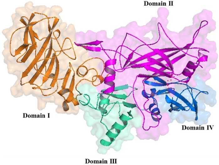 Anthrax Protective Antigen IgG ELISA Kit (DEIA04866) - Creative Diagnostics