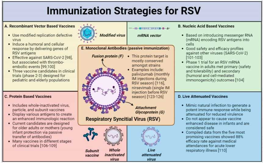 Magic™ Anti-Respiratory Syncytial Virus (RSV) Monoclonal Antibody ...