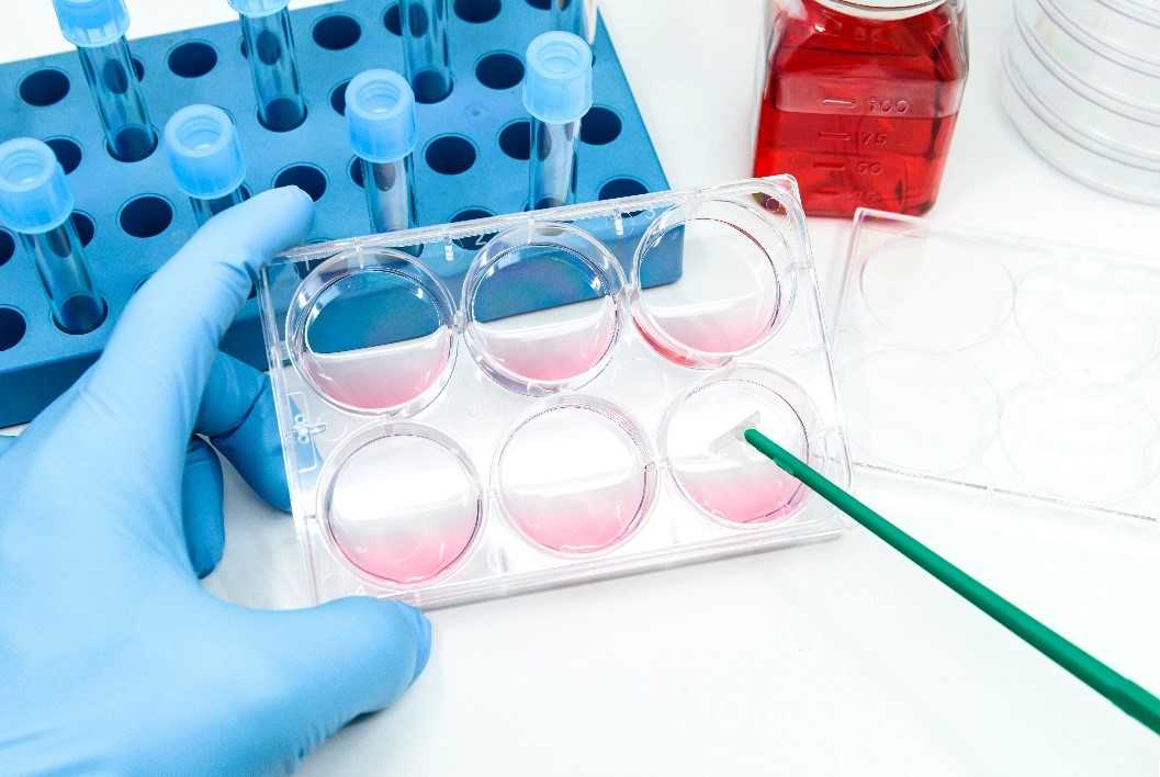 Chicken Negative Control Serum (SPF grade) (DAGF-108) - Creative ...