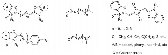 Anti-Cy3 / Cy5 monoclonal antibody, clone EA08 (DMABT-Z59460 ...