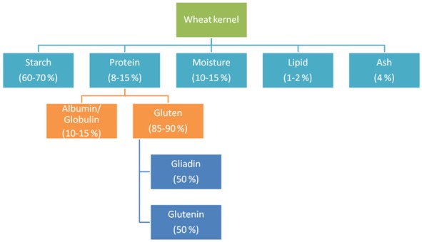 Wheat Gliadin [His] (DAG632) - Creative Diagnostics