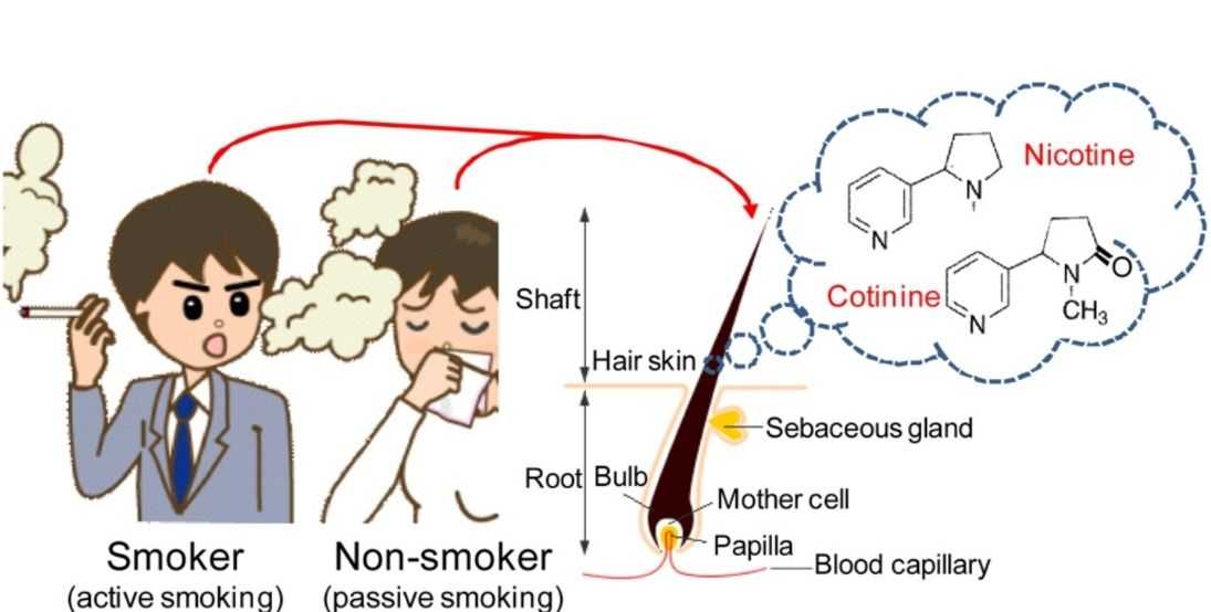 Salivary Cotinine ELISA Kit (DEIA066129) - Creative Diagnostics