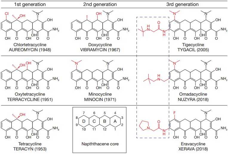 Tetracycline [BSA] (DAG4474) - Creative Diagnostics