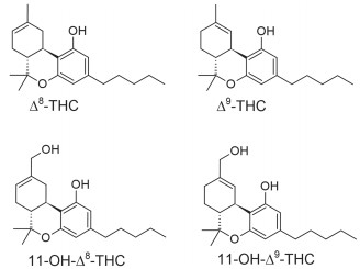 THC Delta 8 [HRP] (DAG414) - Creative Diagnostics