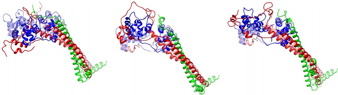 Human cardiac troponin I-T-C complex (DAGA-891) - Creative Diagnostics