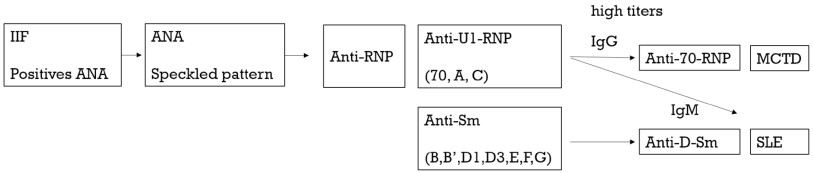 U1-RNP-Ab ELISA Kit (DEIABL379) - Creative Diagnostics