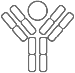 Custom Protein Arrays | Creative Diagnostics