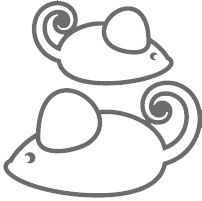 Custom Protein Arrays | Creative Diagnostics