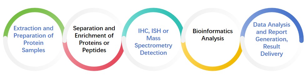 Spatial Proteomics | Creative Diagnostics