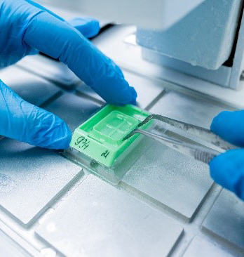 Spatial Proteomics | Creative Diagnostics