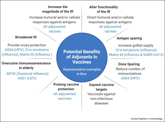 Adjuvant Efficacy | Creative Diagnostics
