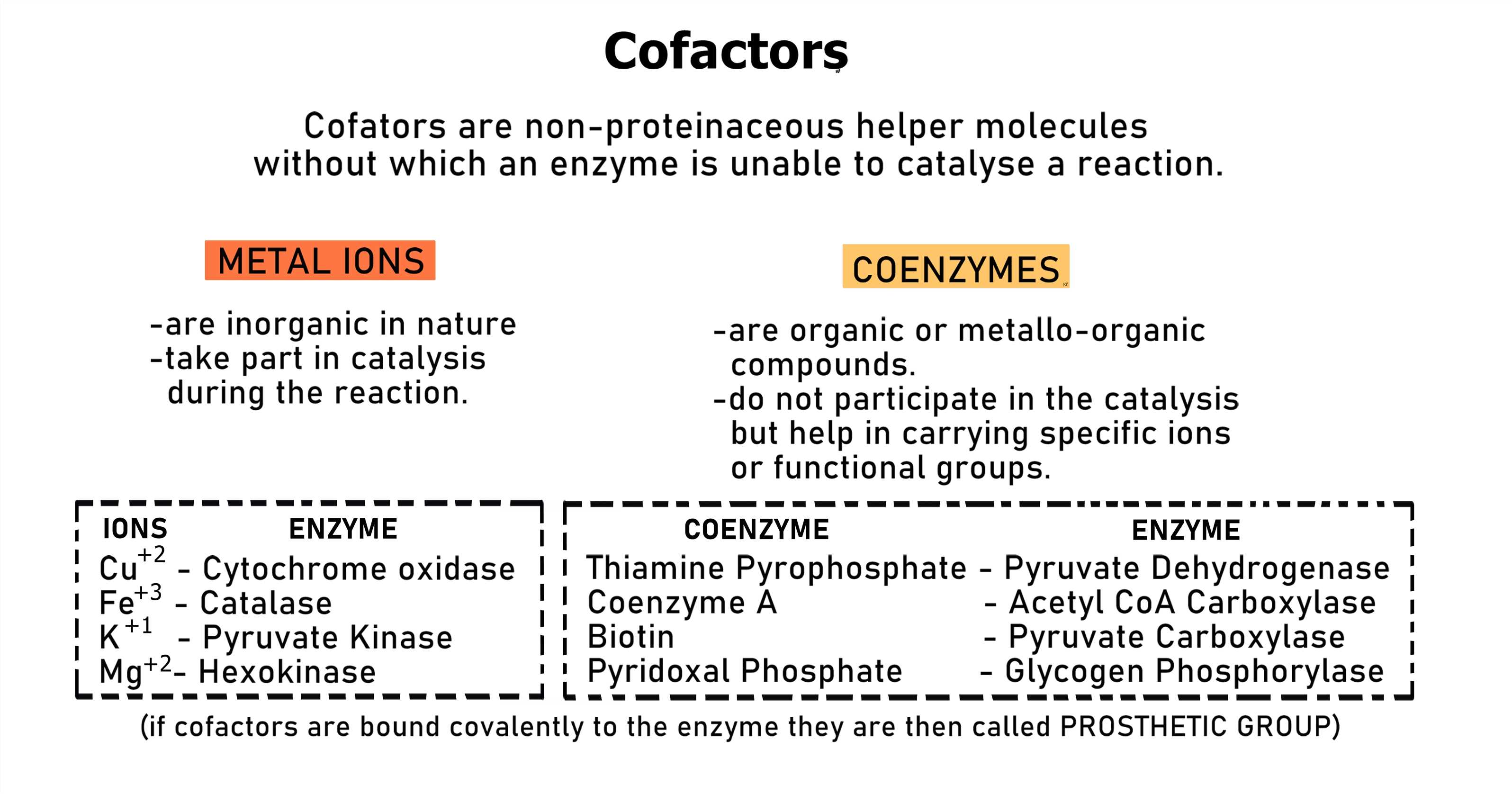 Co-Factor and Complex Formation Analysis | Creative Diagnostics