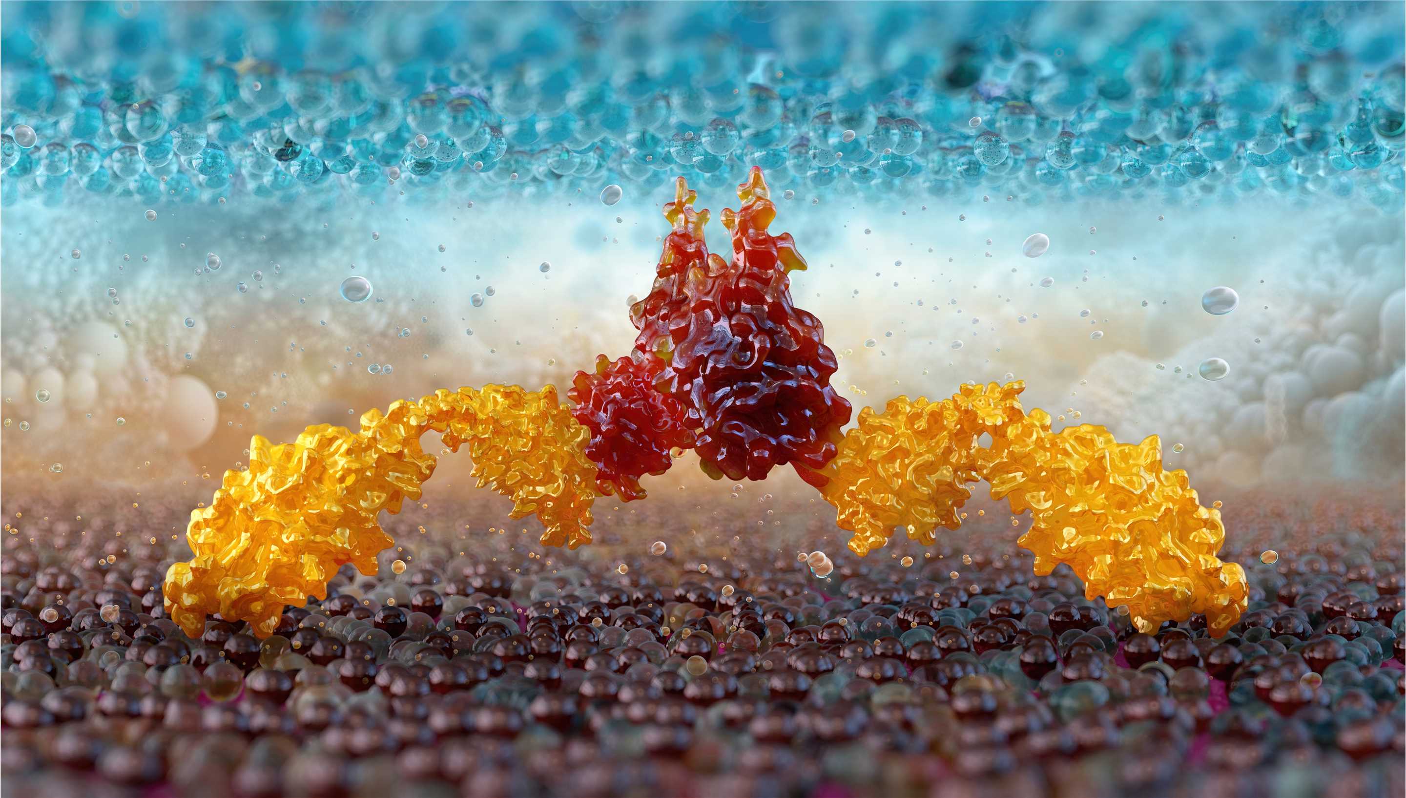 Cross-Reactivity Assessment | Creative Diagnostics