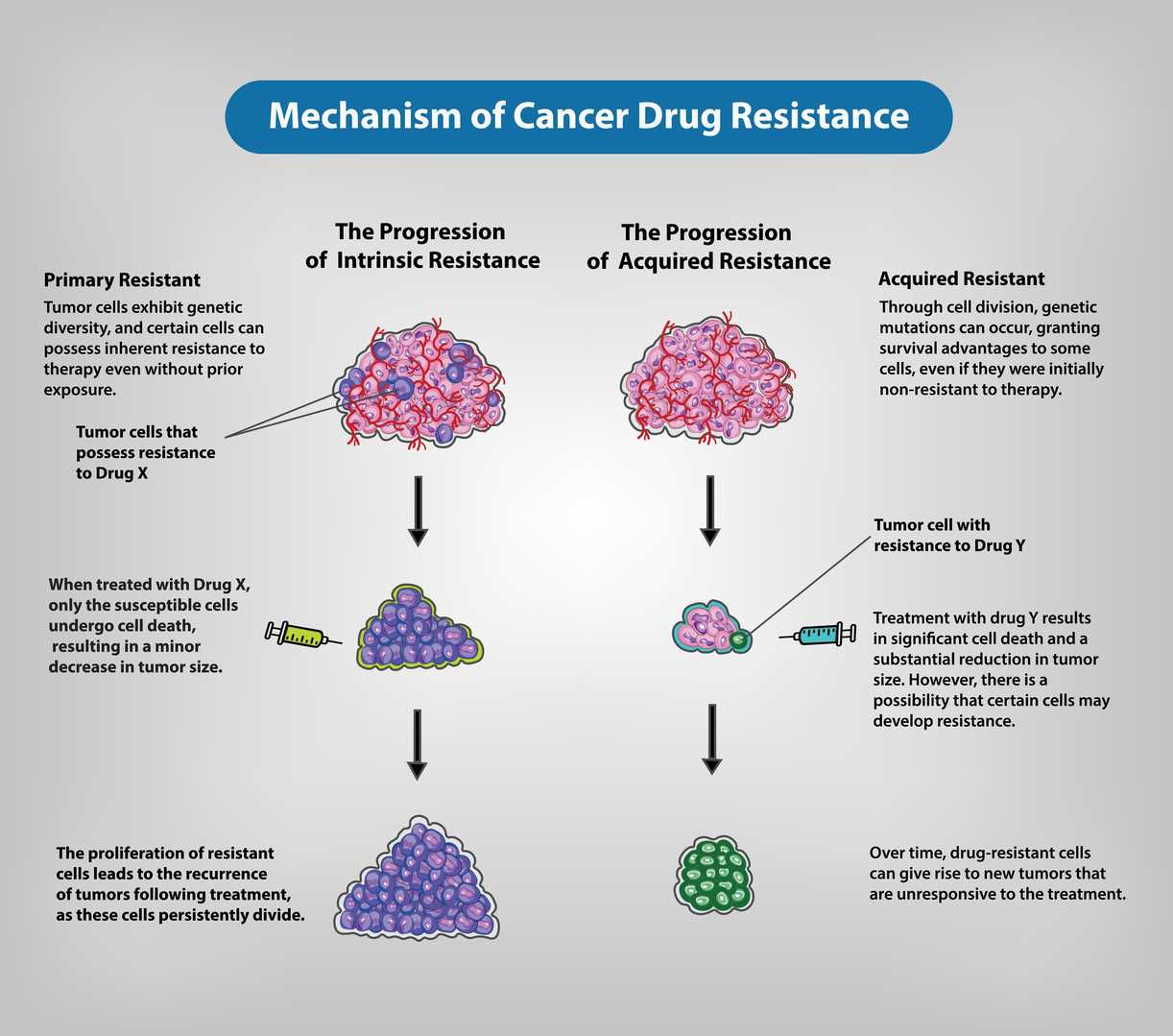 Drug Resistance Mechanism Analysis | Creative Diagnostics