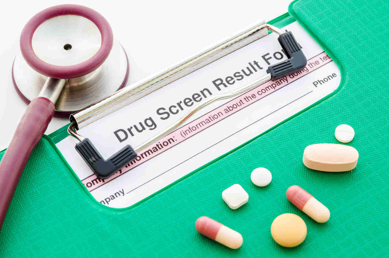 Drug Screening and Toxicity Assessment | Creative Diagnostics
