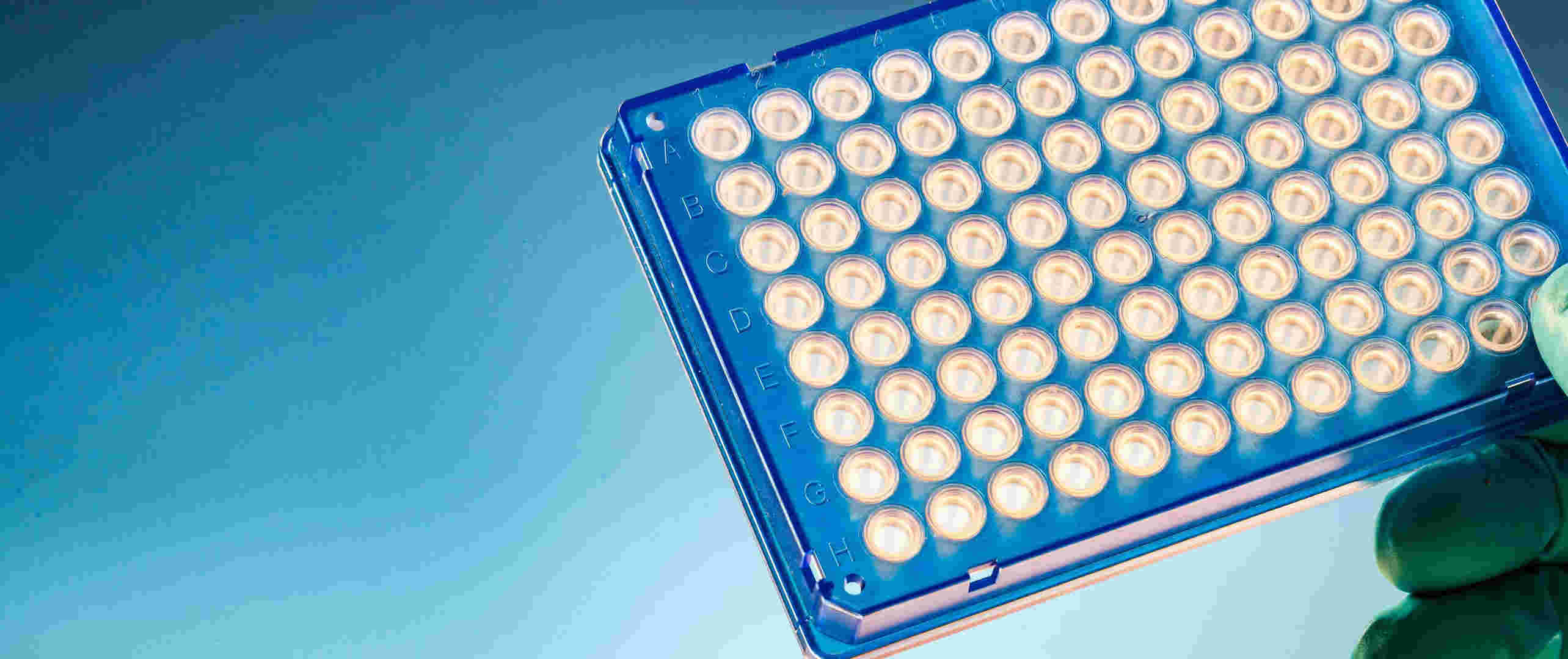 High Throughput Drug Screening Creative Diagnostics