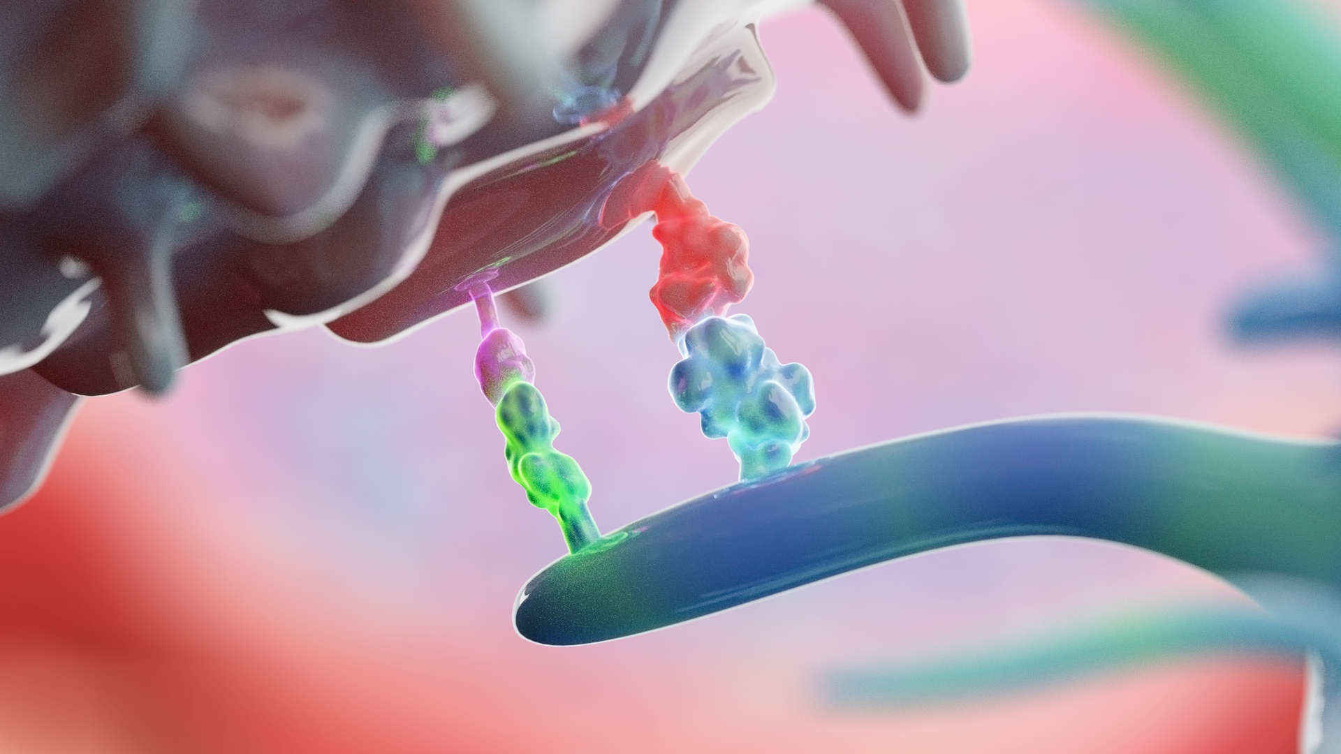 Immune Checkpoint Molecule Detection | Creative Diagnostics