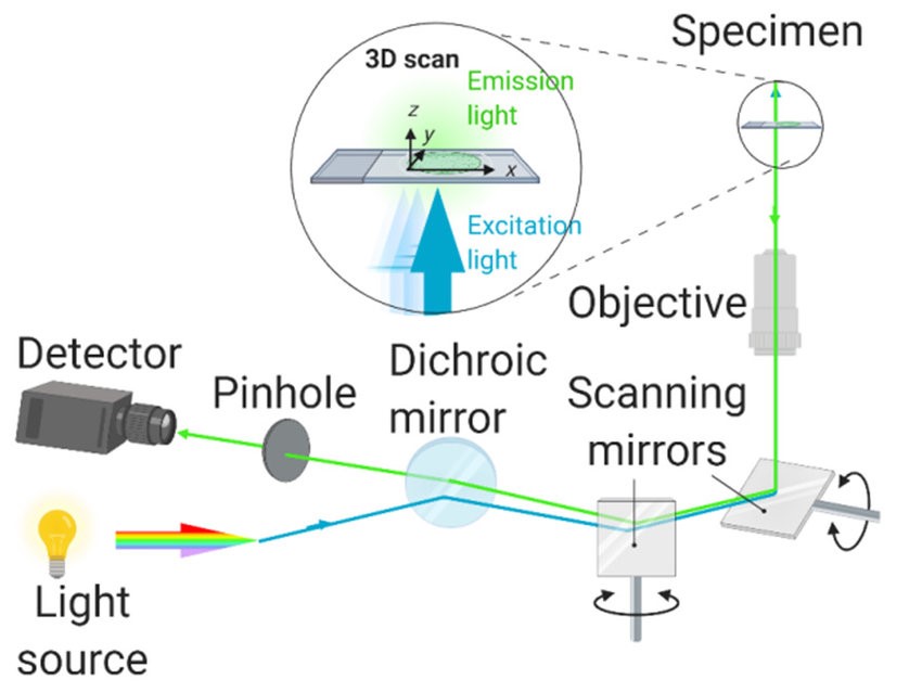 Laser Confocal Chip Scanner | Creative Diagnostics