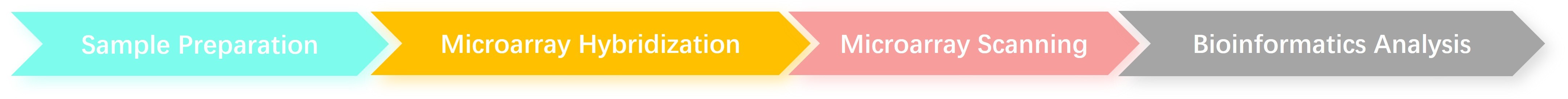 Dose-Response Toxicity Evaluation | Creative Diagnostics