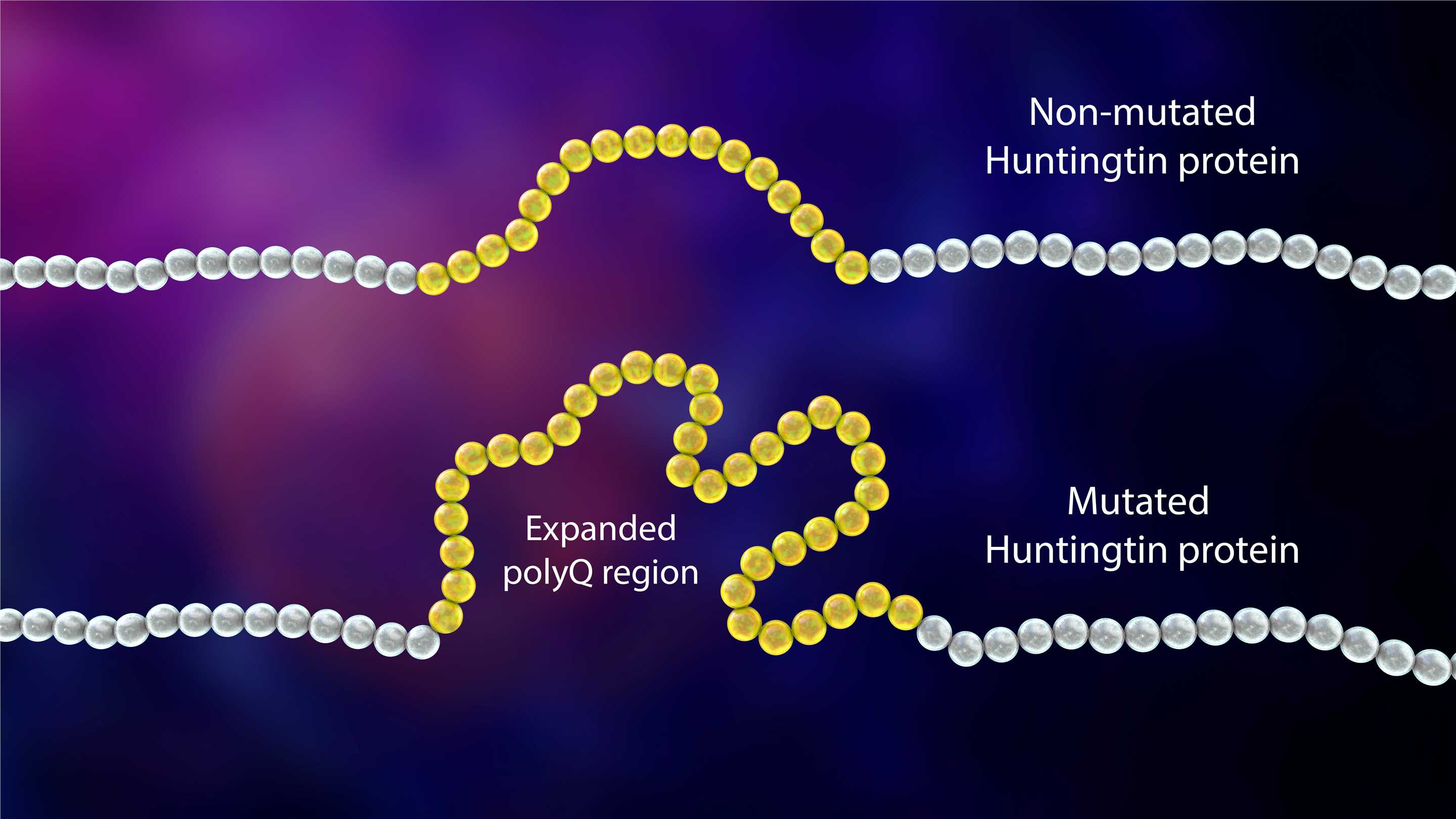 Mutant vs Wild-Type Interaction Comparison | Creative Diagnostics