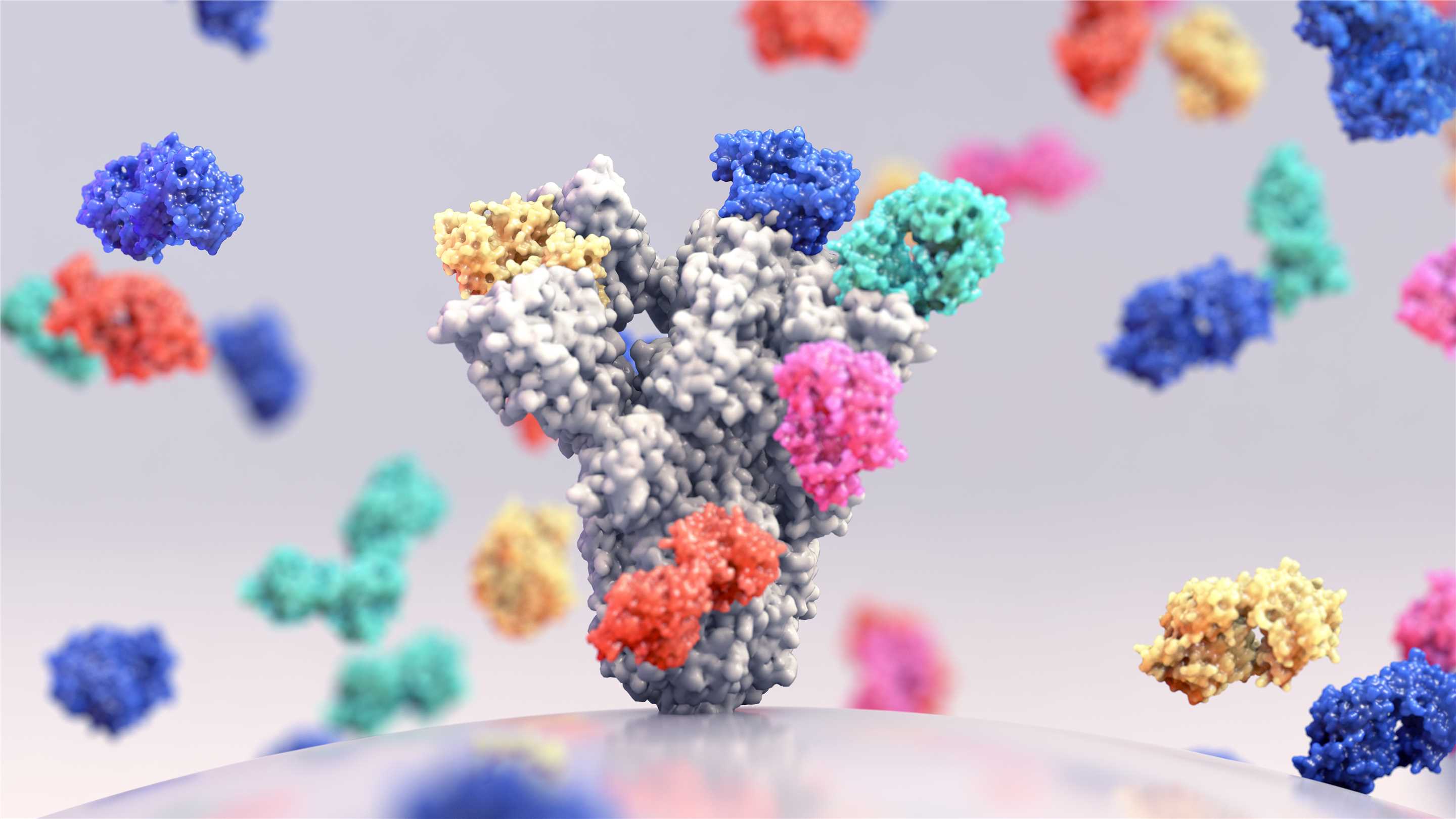 Protein Binding Assays | Creative Diagnostics