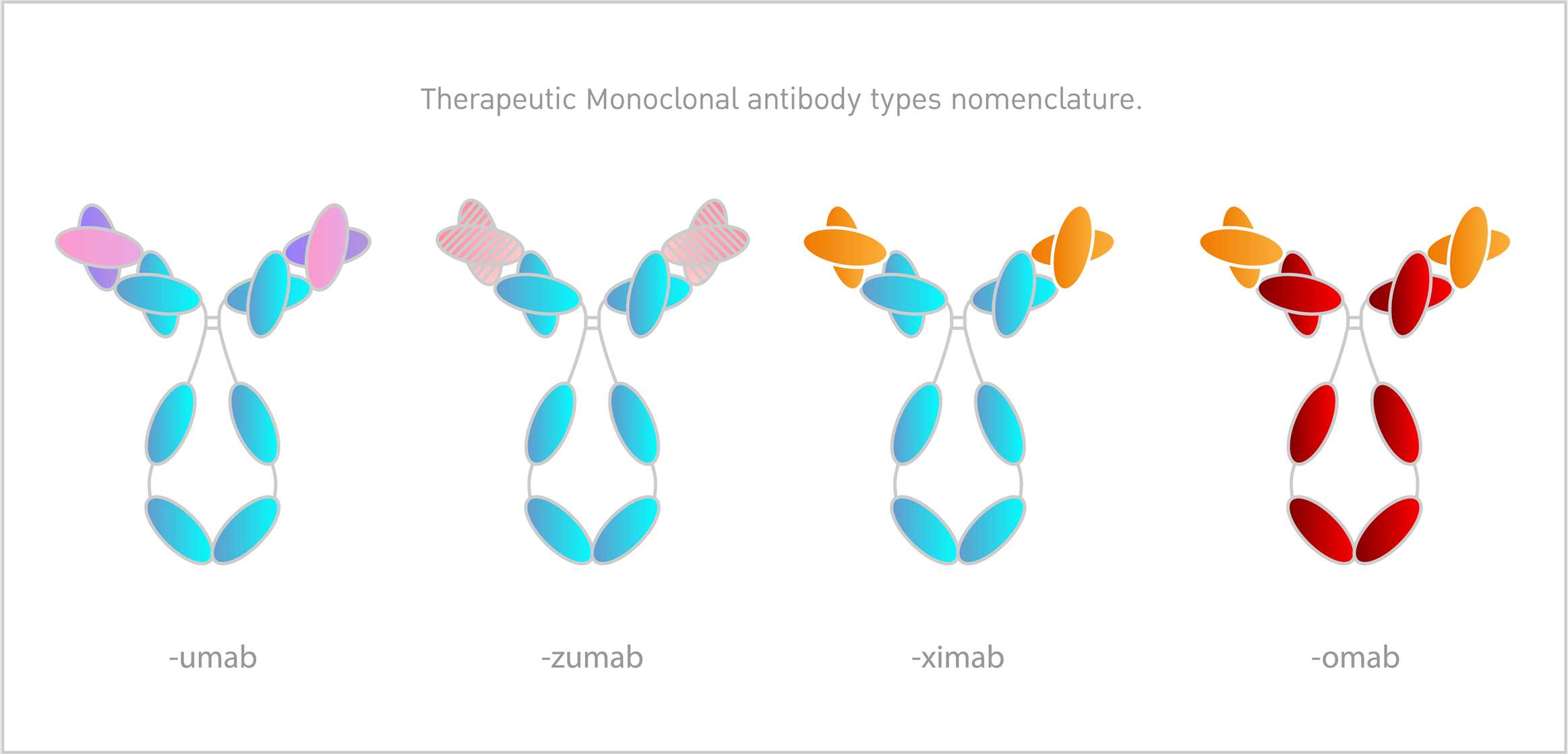 Therapeutic Antibody Monitoring | Creative Diagnostics