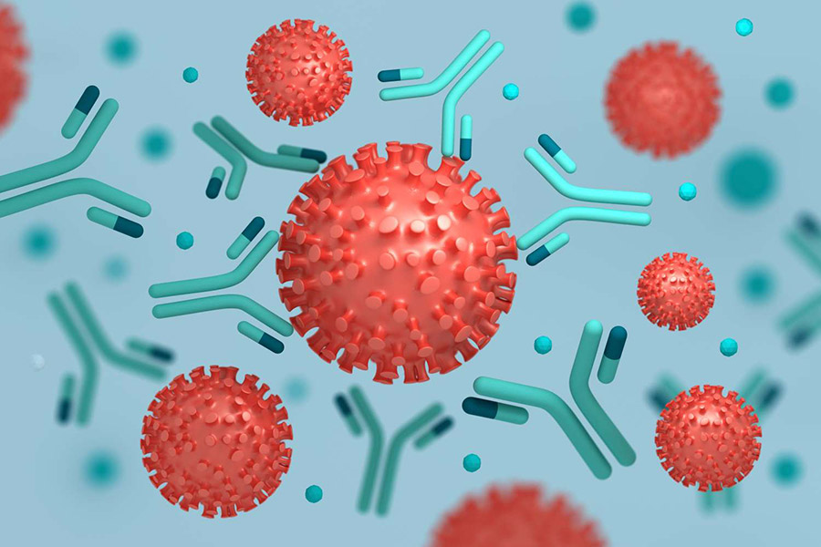 ELISA Experiment: Reaction Between Antigen and Antibody in ELISA - Creative Diagnostics