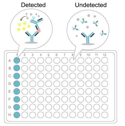 ELISA Specificity - Creative Diagnostics