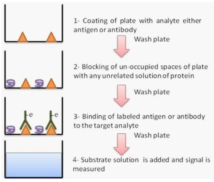 ELISA Washing Steps - Creative Diagnostics