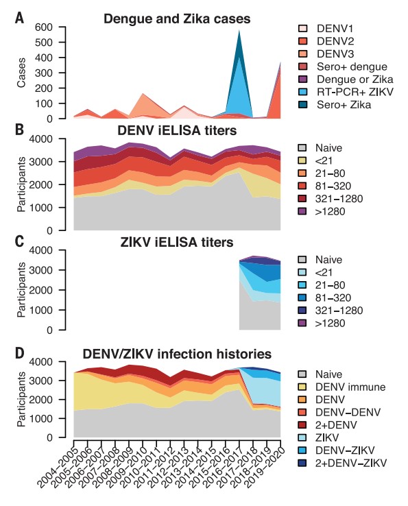 Zika Virus and Severe Dengue Fever Disease - Creative Diagnostics