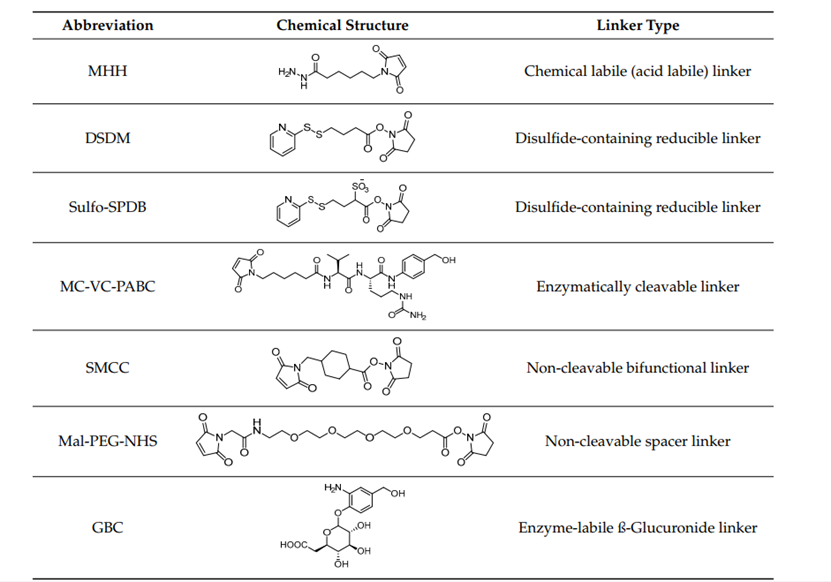 Antibody Drug Conjugates (ADCs) - Creative Diagnostics