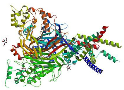ASIC Immunology Reagents - Creative Diagnostics