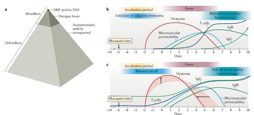 Research Review - Creative Diagnostics