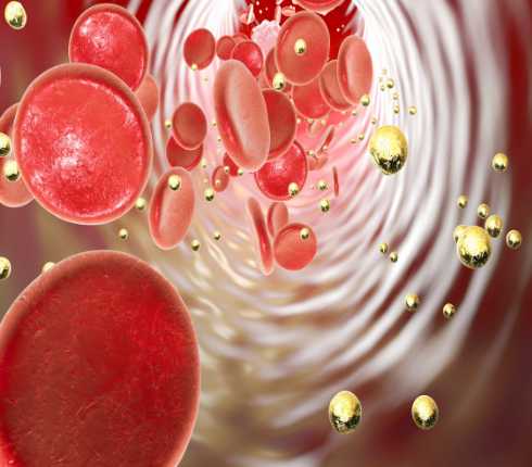 Angiogenesis - Creative Diagnostics