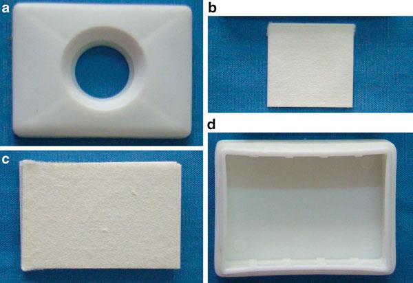Gold Flow-Through Assay for Antibody Detection using Protein-A ...