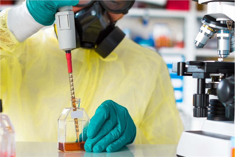 Antibody Development - Creative Diagnostics