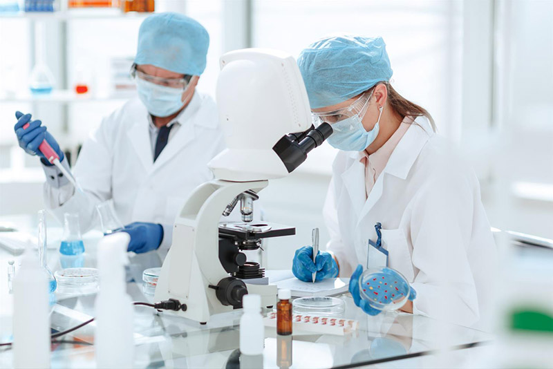 Antibody Development - Creative Diagnostics