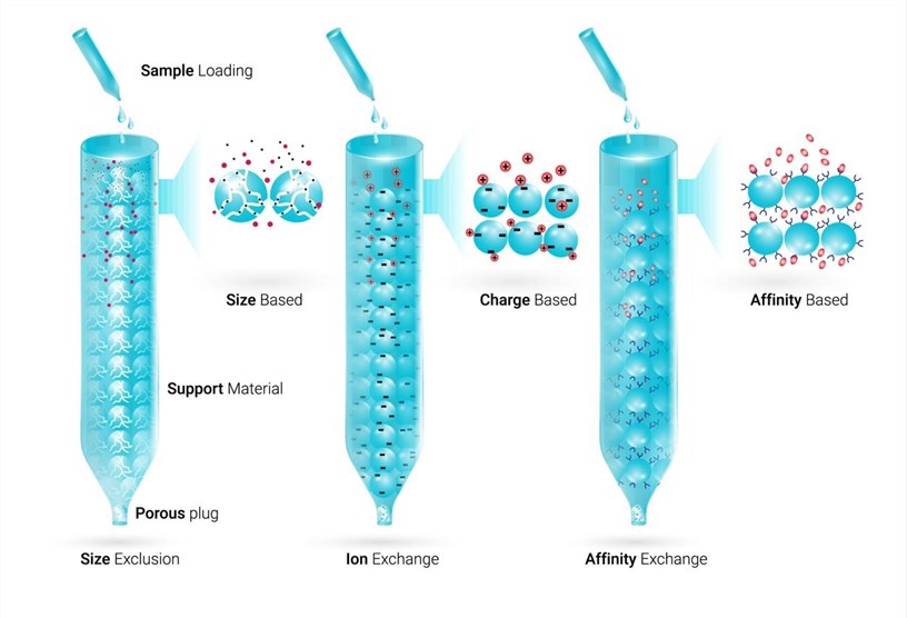Antibody Manufacturing - Creative Diagnostics