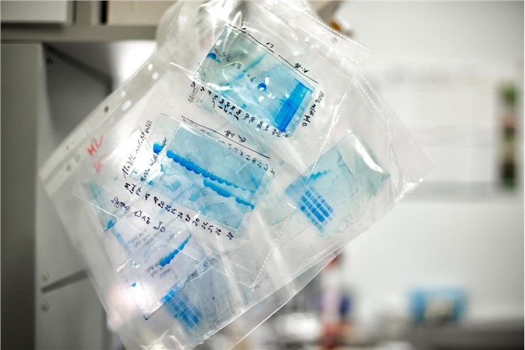 Antibody Manufacturing - Creative Diagnostics