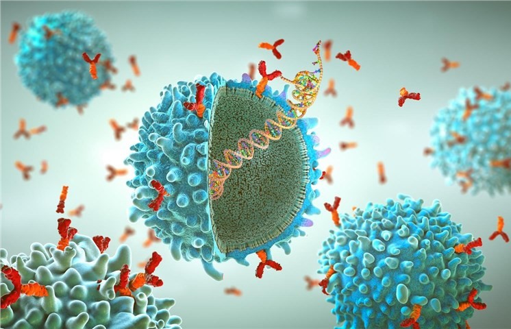 Antigen Customization - Creative Diagnostics
