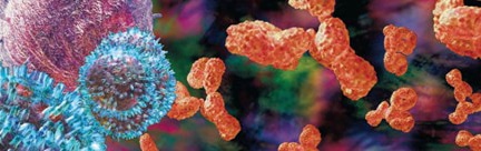 Antigens - Creative Diagnostics