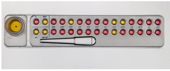 Antimicrobial Susceptibility Test Kits - Creative Diagnostics