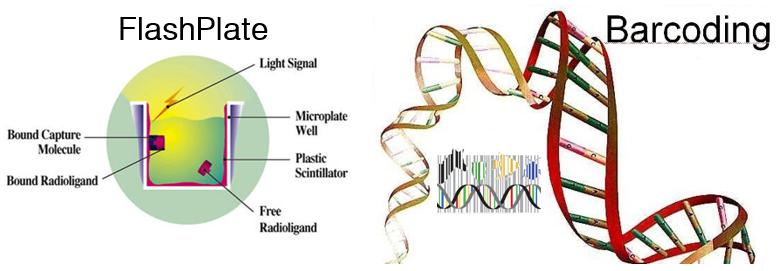 CD Microplate Coating - Creative Diagnostics