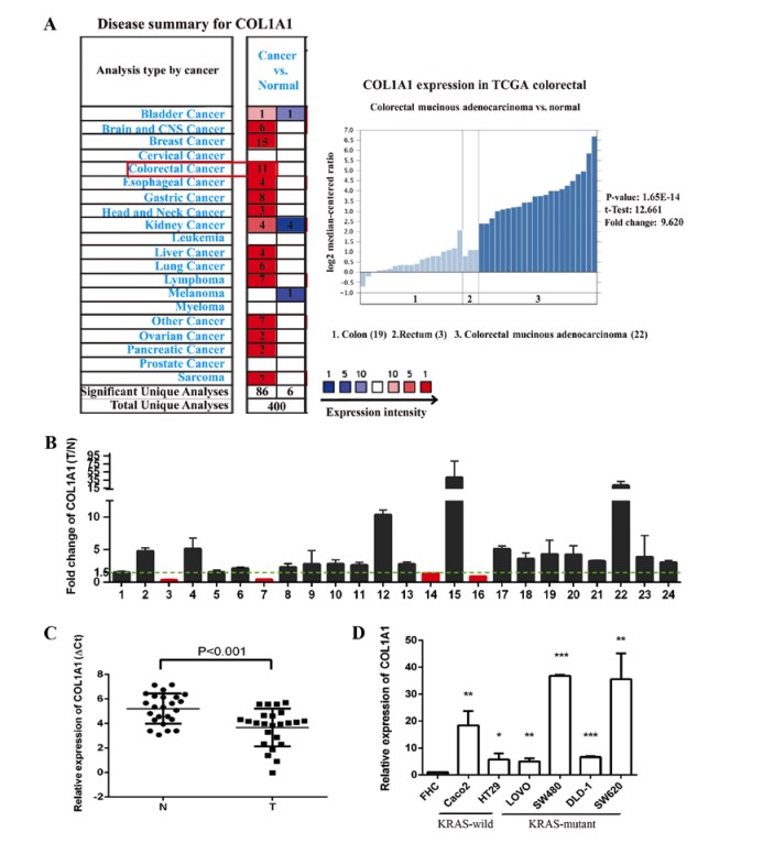 COL1A1 and Colorectal Cancer - Creative Diagnostics