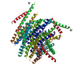 Calcium Channel Immunology Reagents - Creative Diagnostics